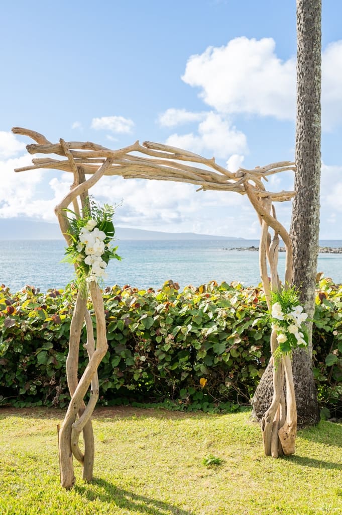 What We Dreamed Of - Erica & Kyle's Maui Destination Wedding